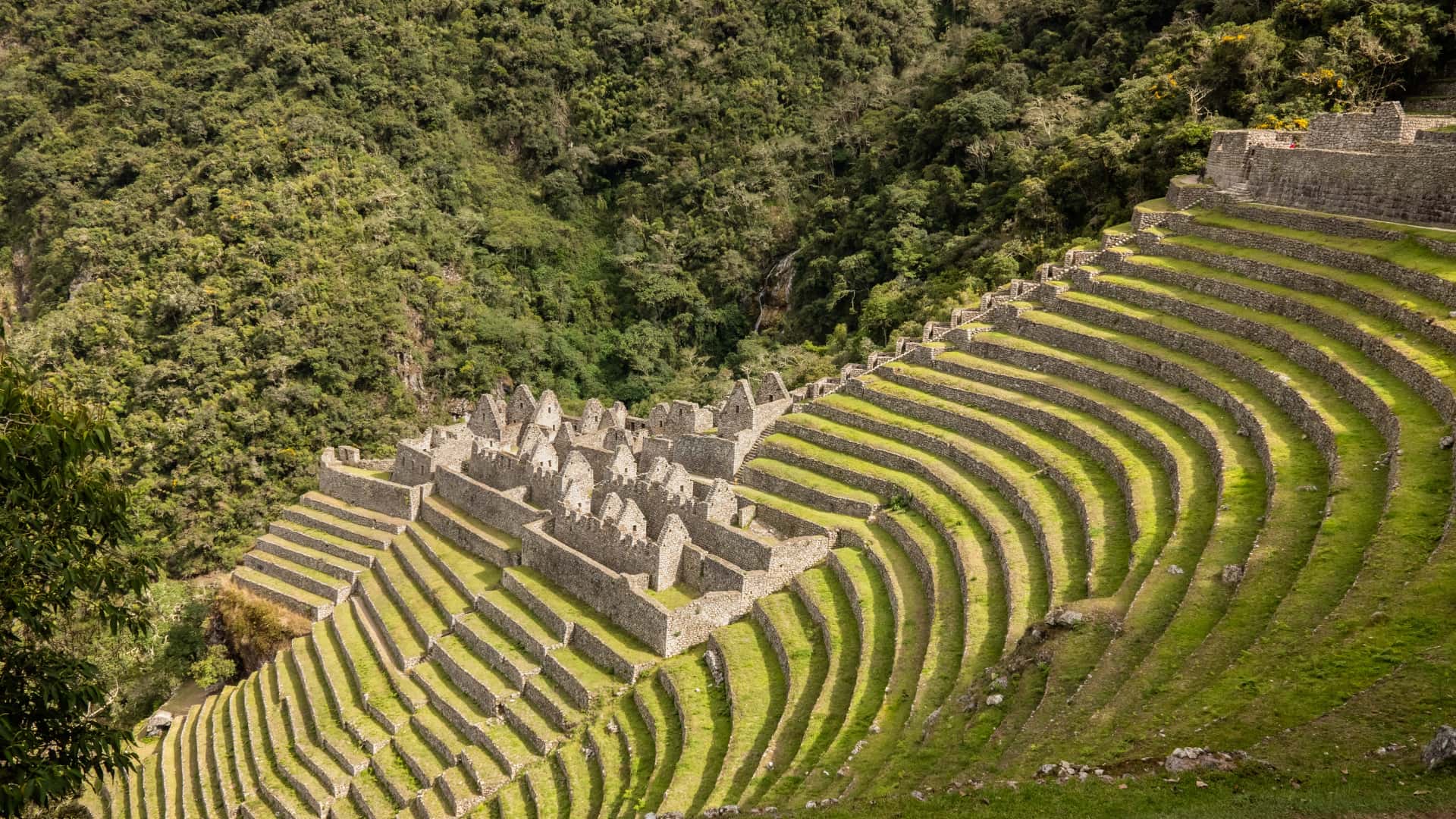 Wiñay Wayna Ruins in Peru: A Comprehensive Guide to This Inca Marvel ...